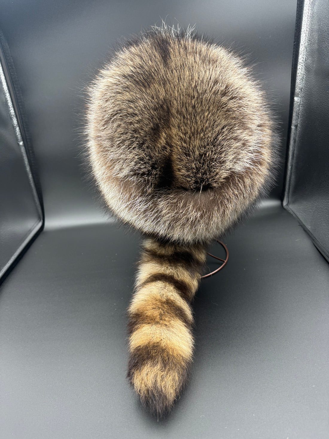 Coon Skin Cap – New England Naturals